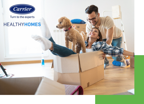 Indoor Air Quality Systems | Carrier Residential