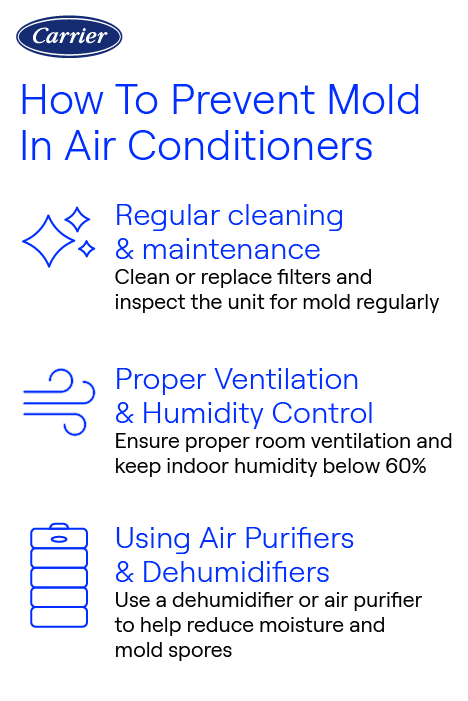 Can Mold Grow in an Air Conditioner? Shocking Facts Revealed! – buzzlyo