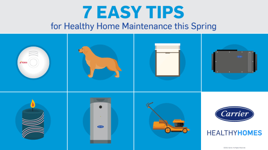 Healthy Homes | Carrier Corporate
