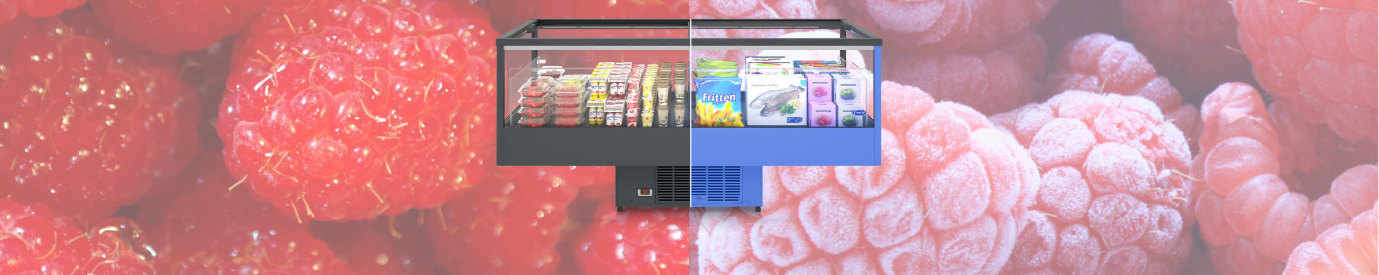 Home | Carrier Commercial Refrigeration