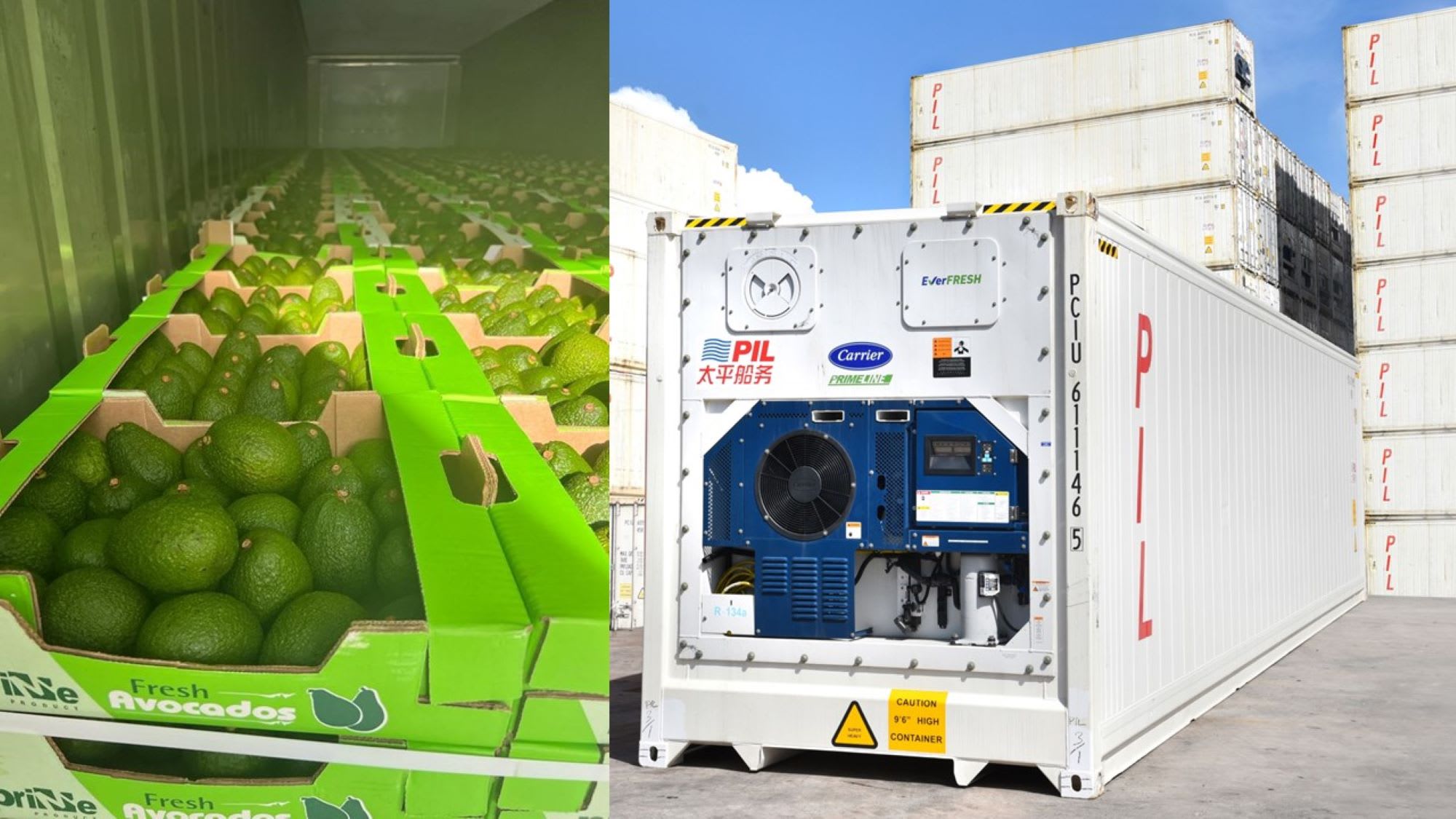 PIL Successfully Delivers First Shipment of Avocados from Africa to ...