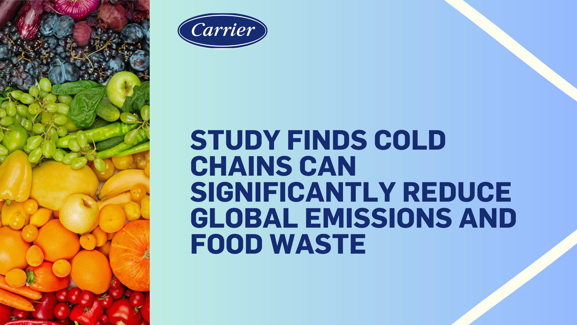 University of Michigan Study Finds Cold Chains Can Significantly Reduce ...